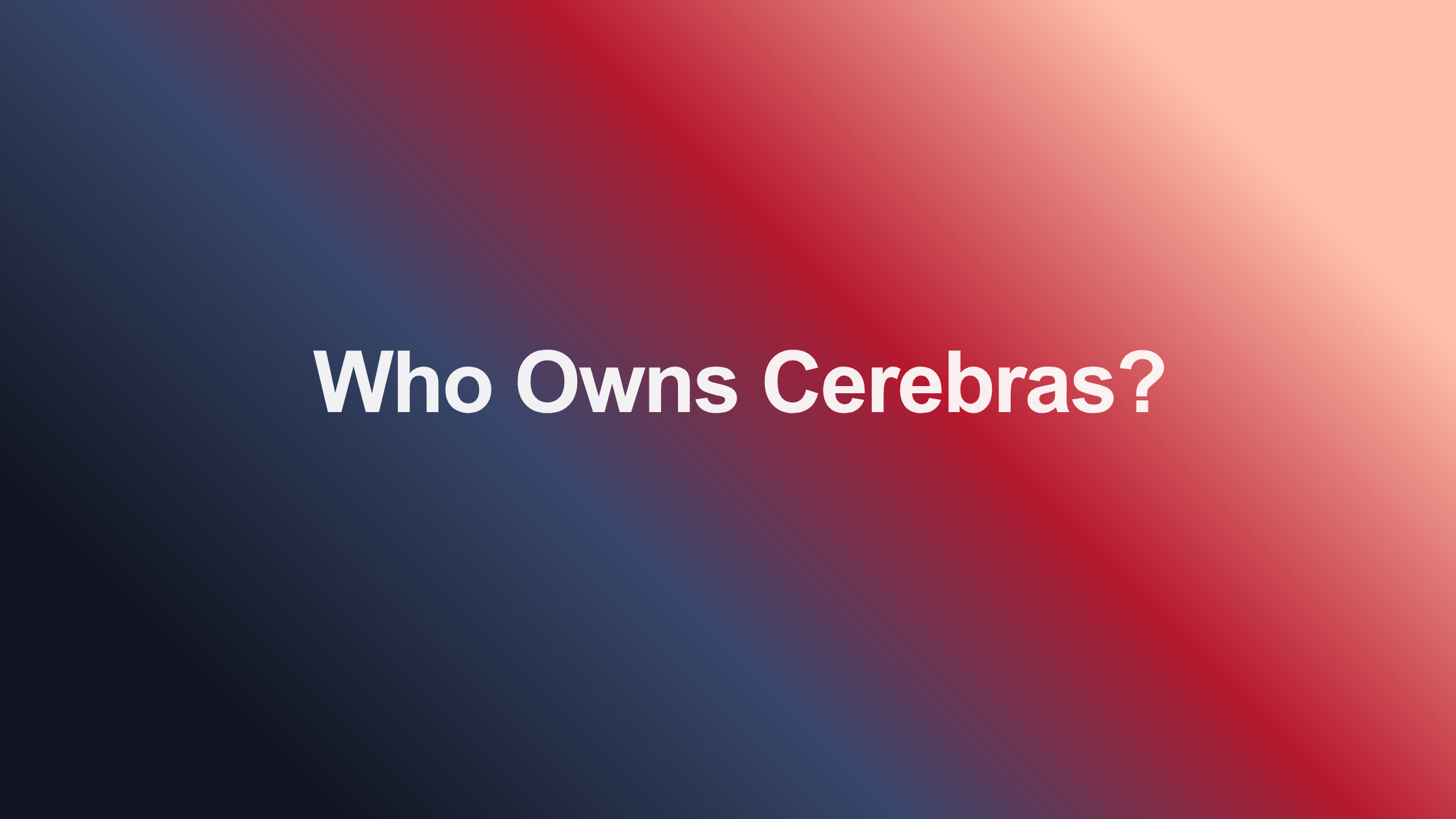 Who Owns Cerebras? Investors & Cap Table